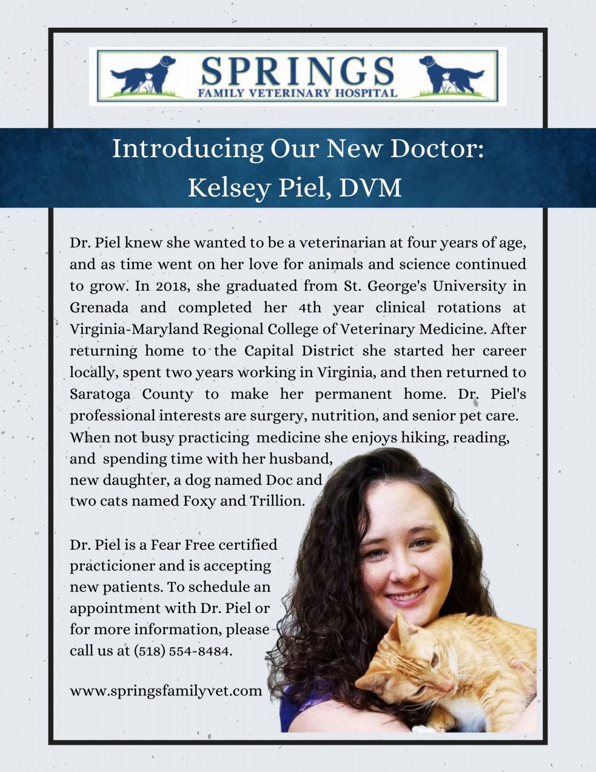 Springs Family Veterinary Hospital - Saratoga Springs, NY - Home