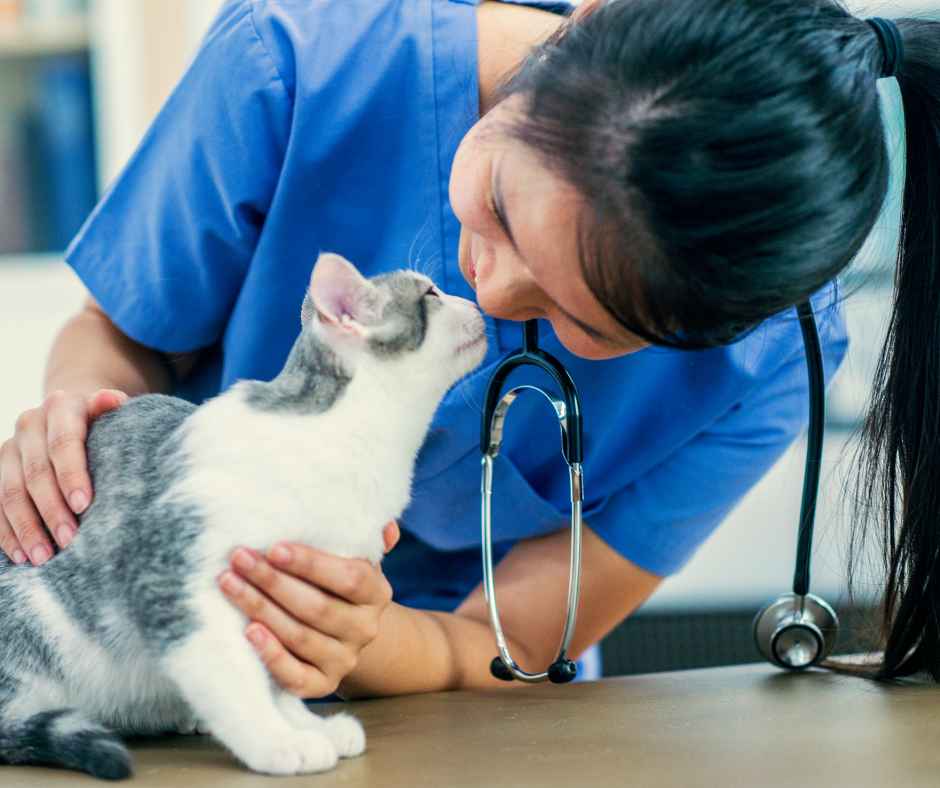 Practicing with HEART...Fear Free protocols reduce stress in pets ...